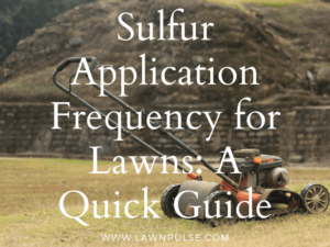 Sulfur Application Frequency for Lawns: A Quick Guide - Lawn Pulse