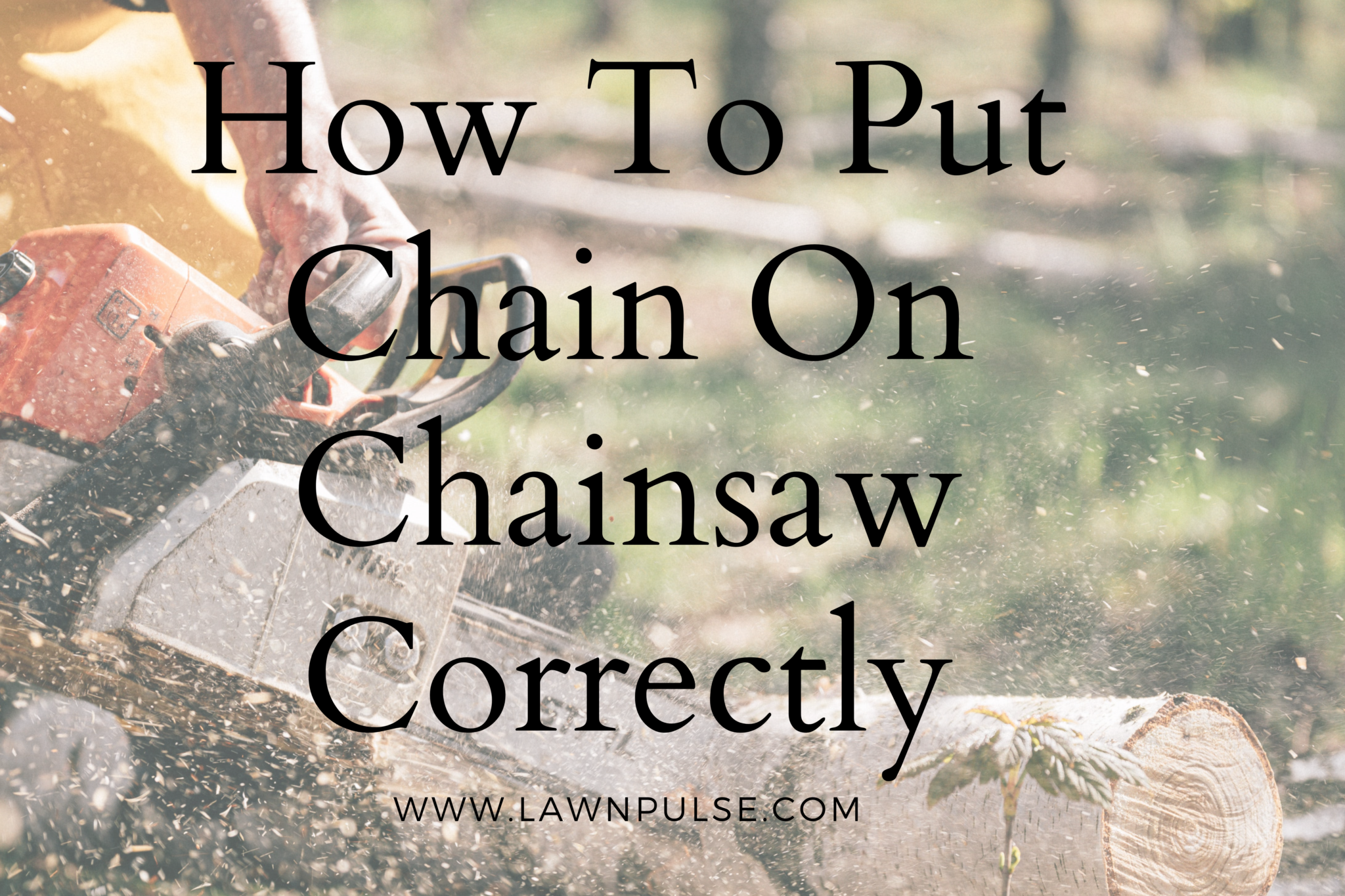 How to Put the Chain on a Chainsaw Correctly (2024)