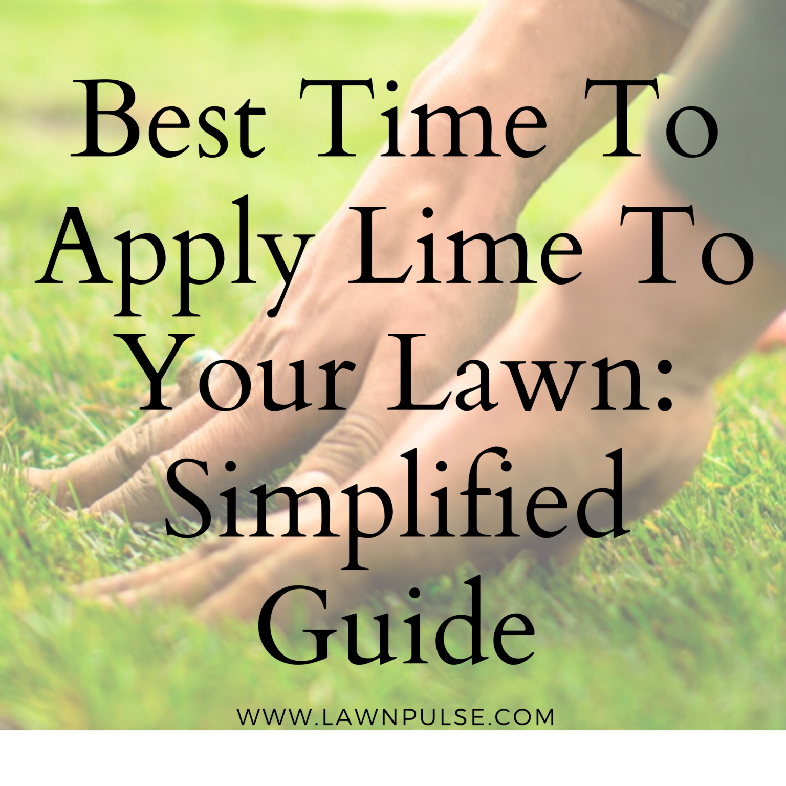 Best Time to Apply Lime to Your Lawn: Simplified Guide